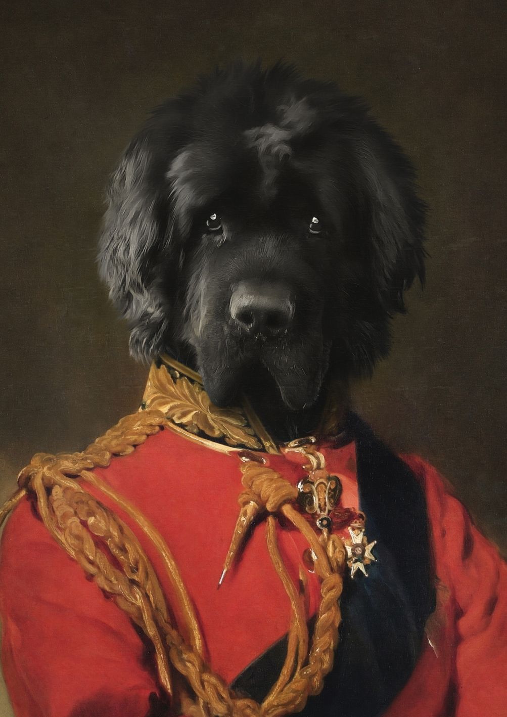 The Duke– Portrait My Pets