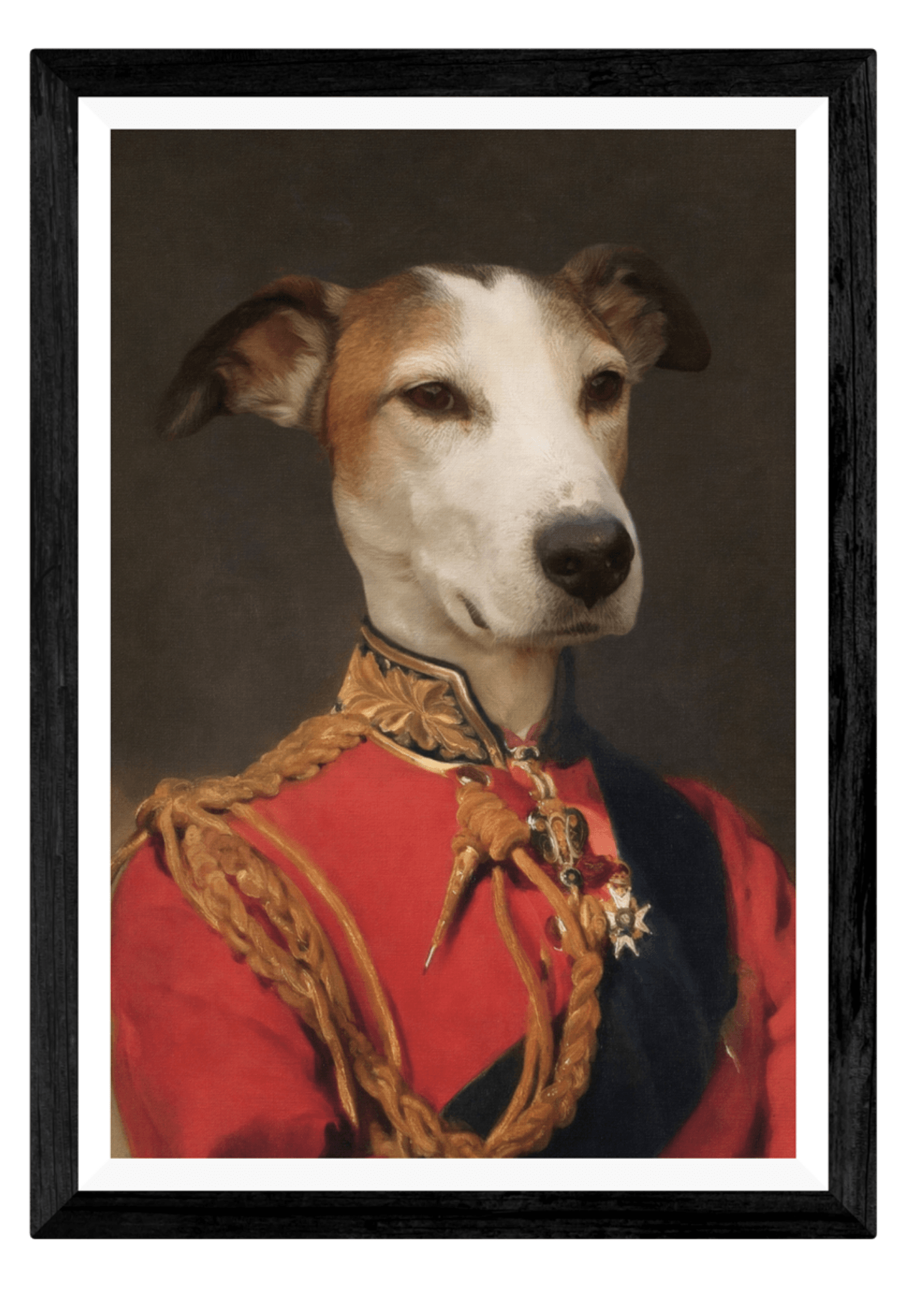 The Duke– Portrait My Pets