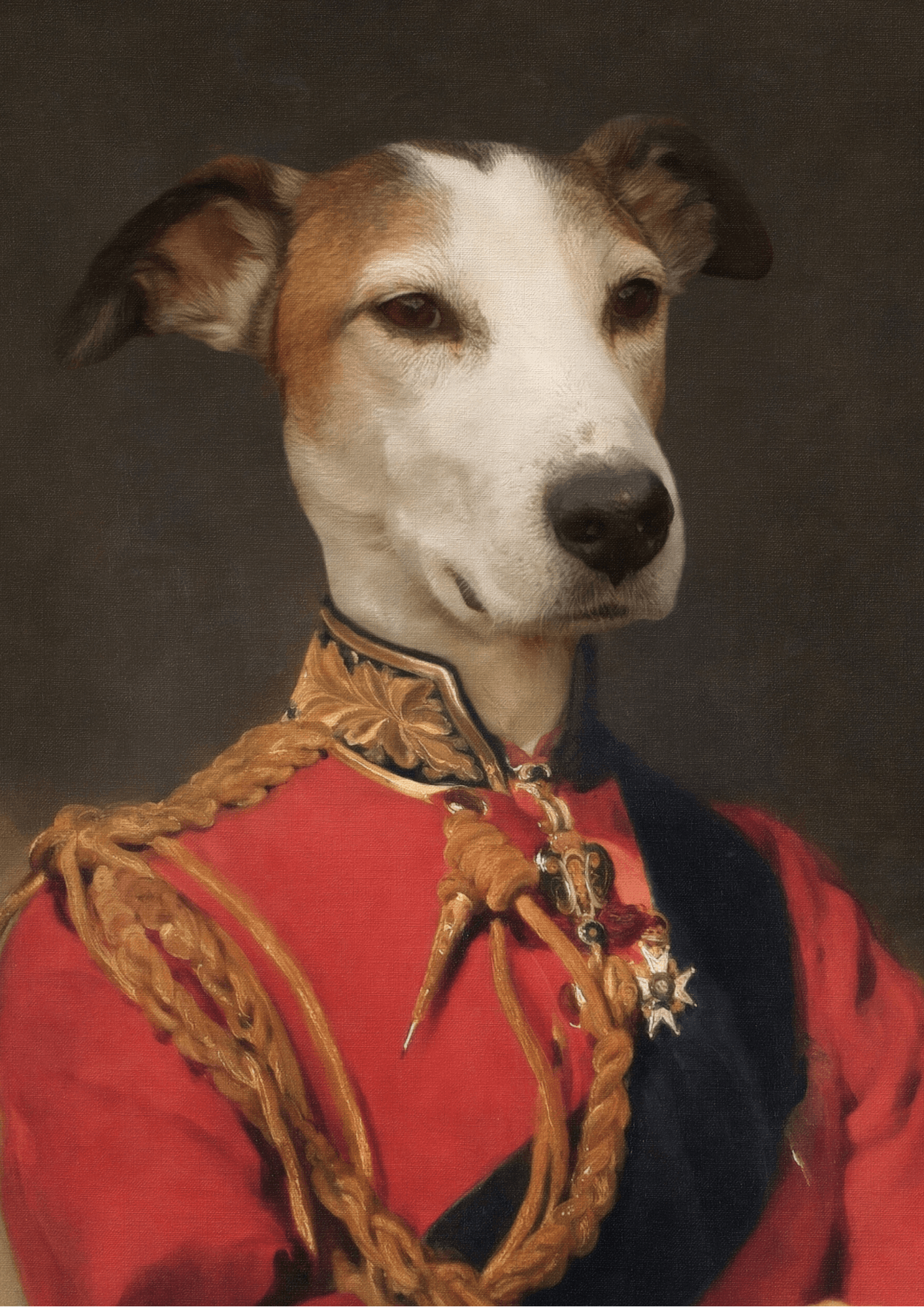 The Duke– Portrait My Pets