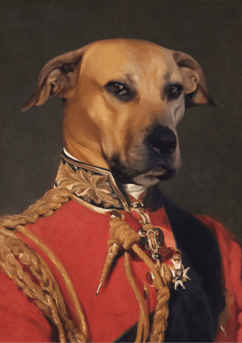 The Duke– Portrait My Pets